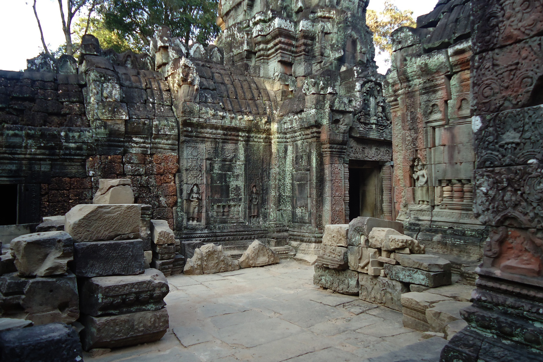 Training the Next Generation