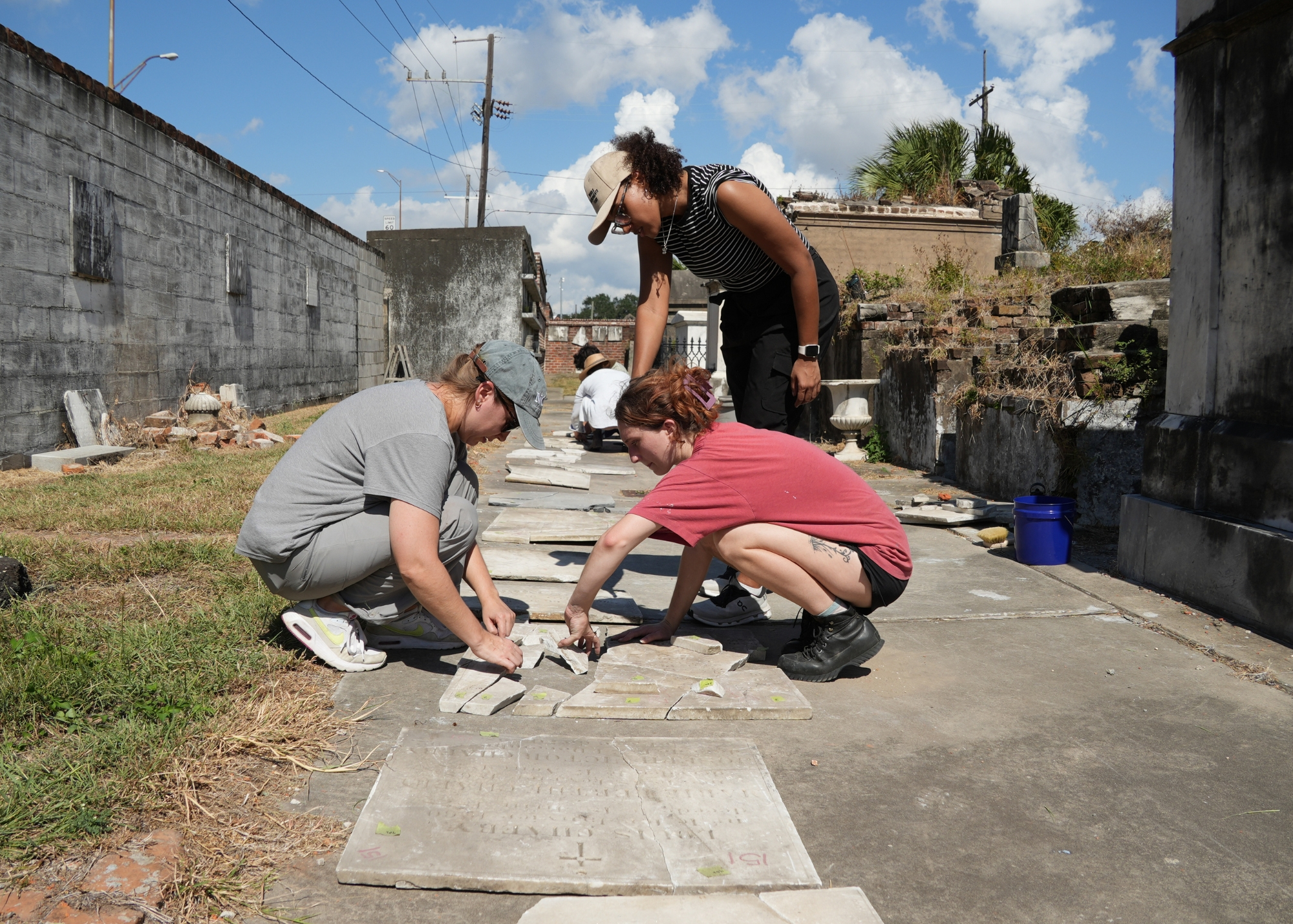 Wonders Worth Protecting: A Collaboration and Conversation with the ...