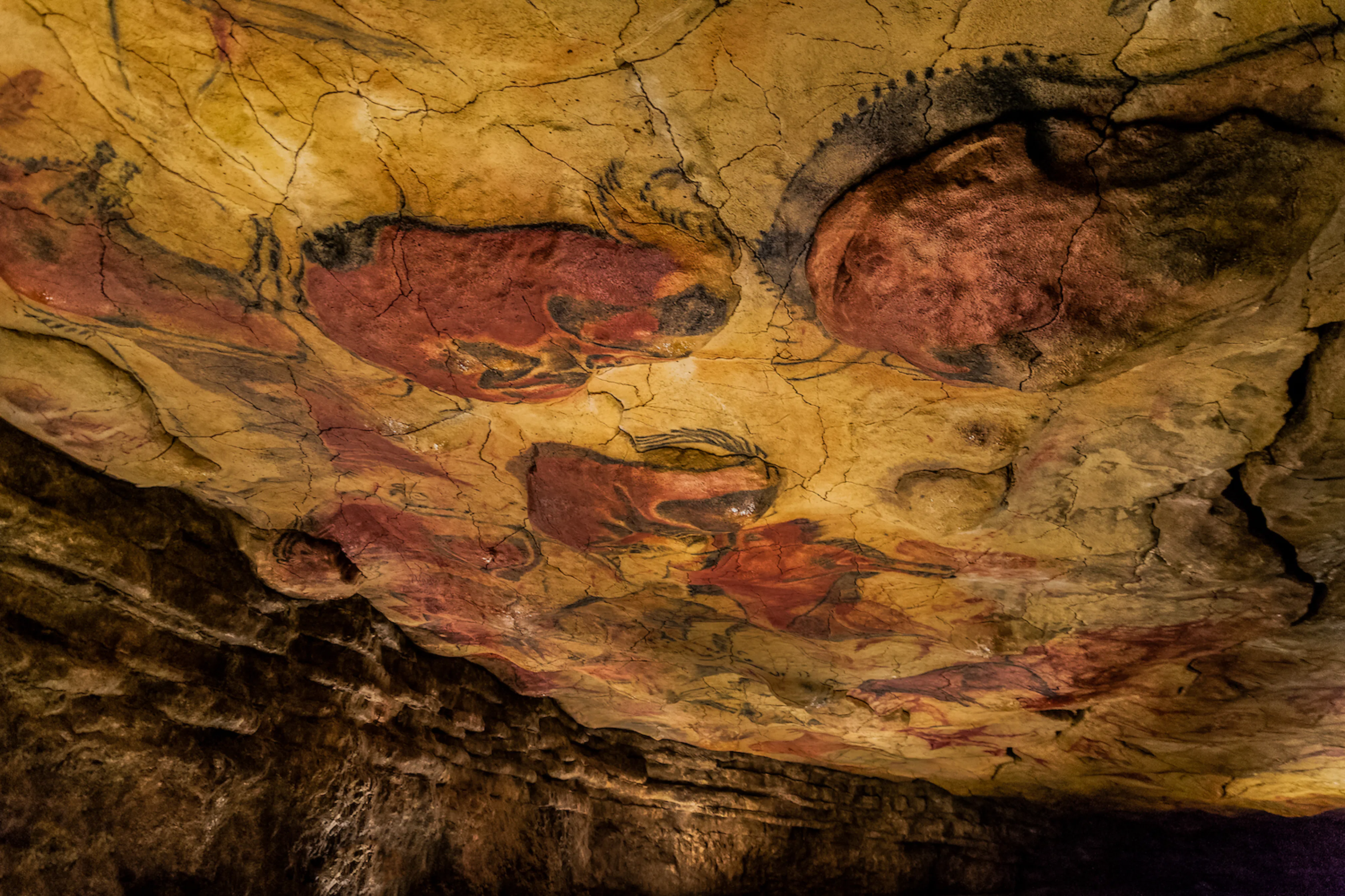 Altamira Cave Diagram Facts About Altamira Cave Art